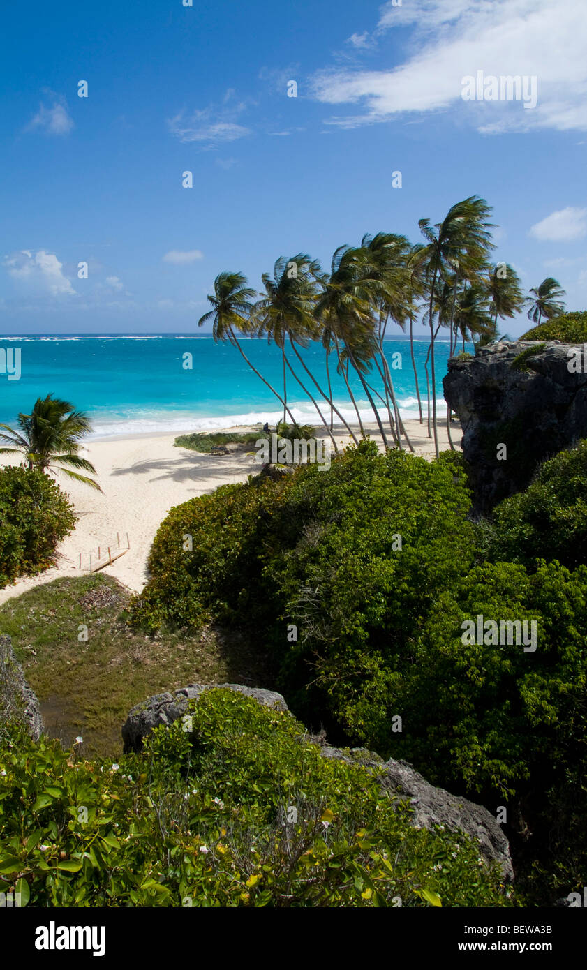 Vertical shot bottom sea hi-res stock photography and images - Alamy