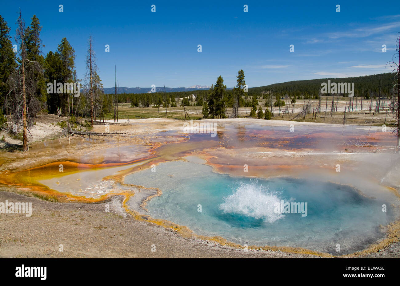 Beryl spring geography hi-res stock photography and images - Alamy