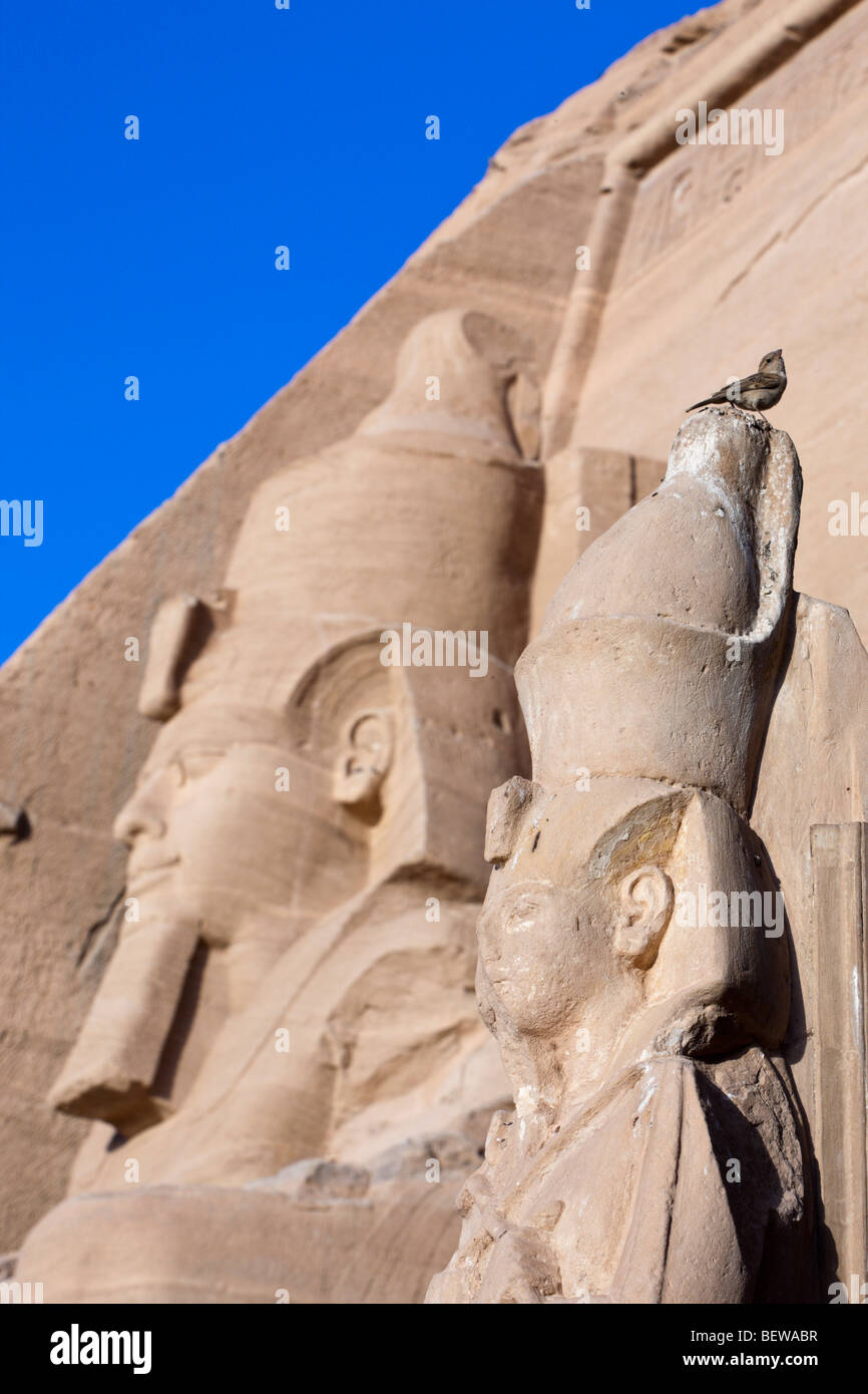 Colossal Statue of Pharao Ramesses II, Abu Simbel, Egypt Stock Photo ...