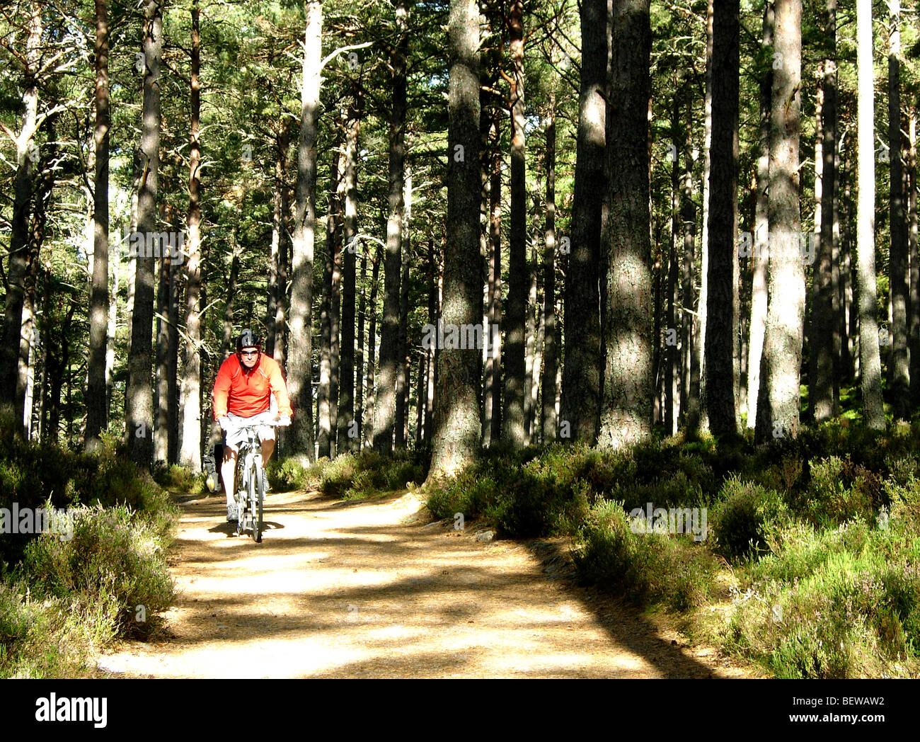 Autumn aviemore scotland highlands scottish hi-res stock photography ...