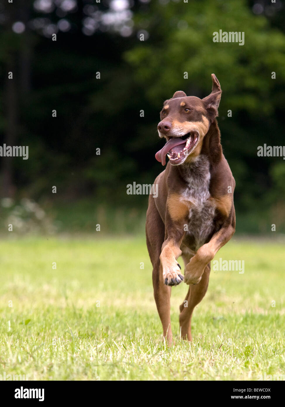 Runnig concept hi-res stock photography and images - Alamy