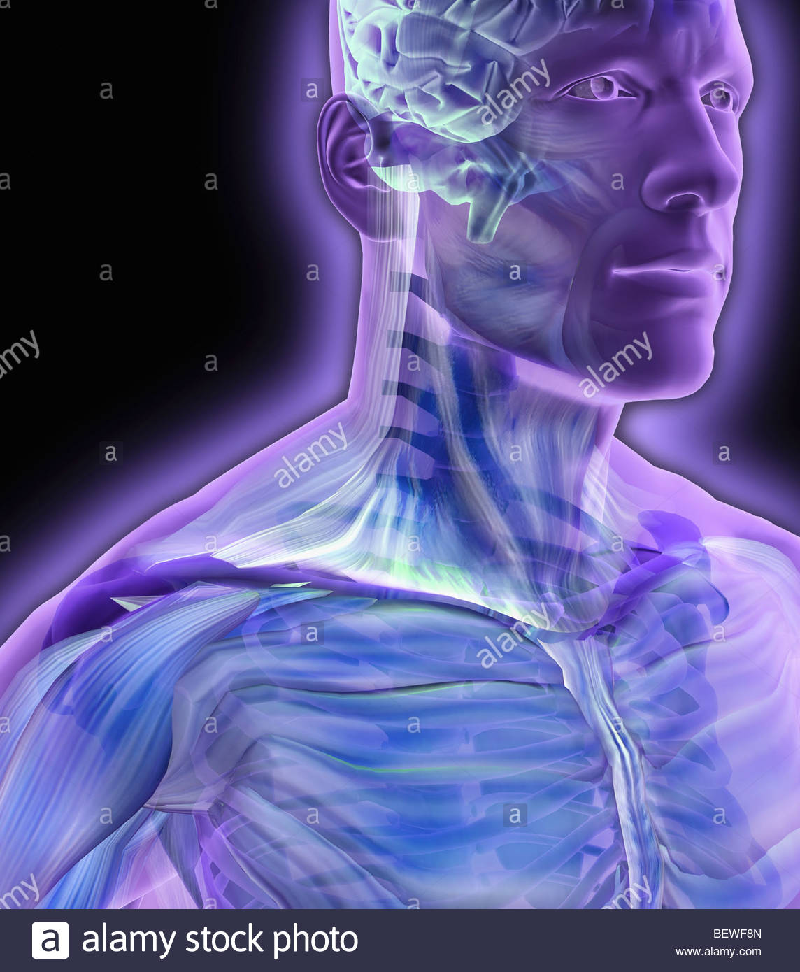 Illuminated Brain Stock Photos & Illuminated Brain Stock Images - Alamy