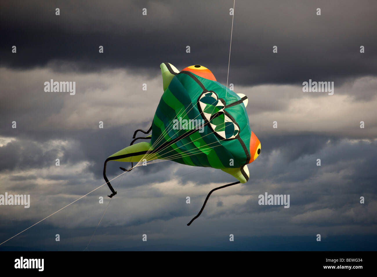 Big kite hi-res stock photography and images - Alamy