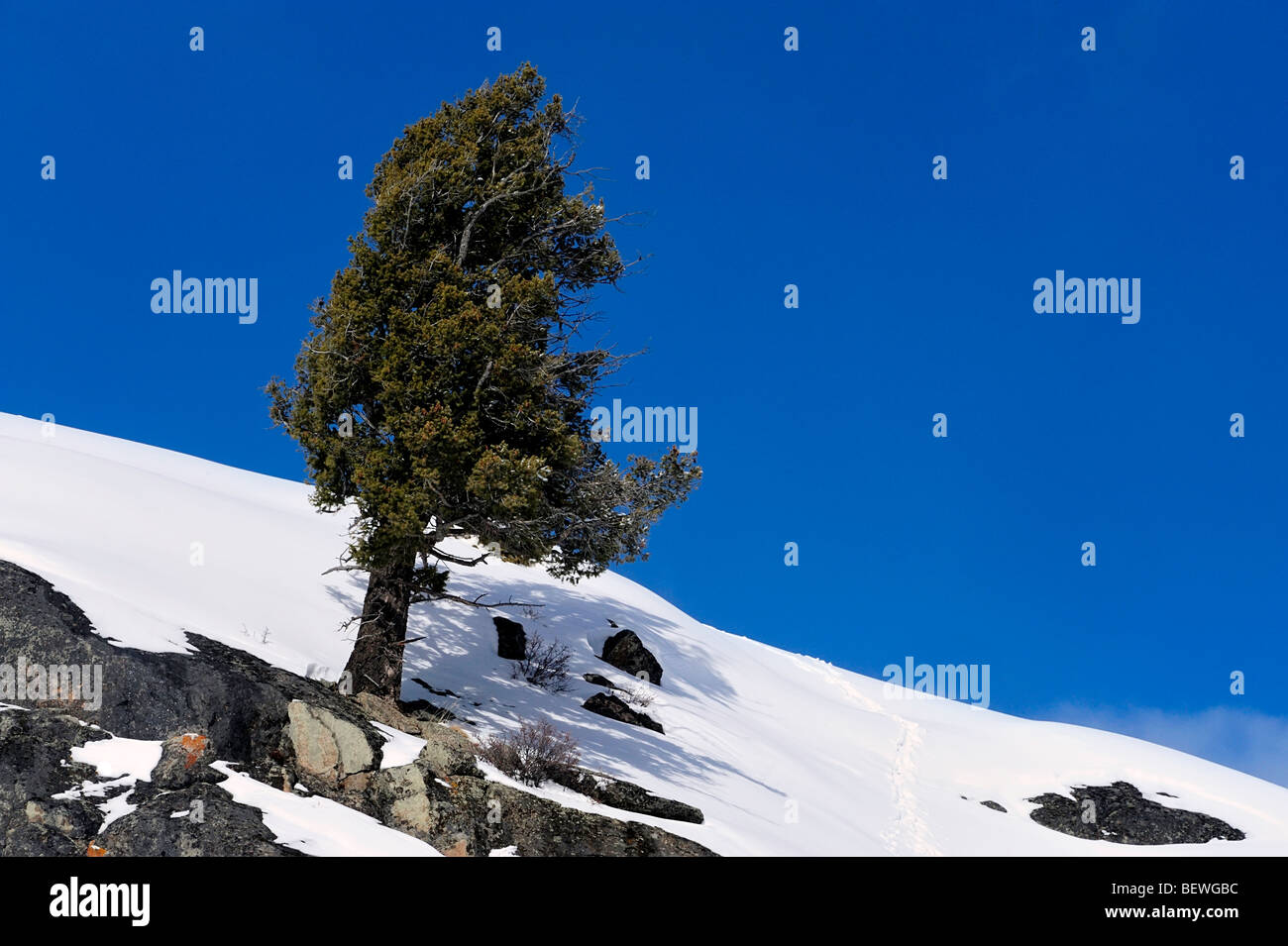 Lamar river canyon hi-res stock photography and images - Alamy