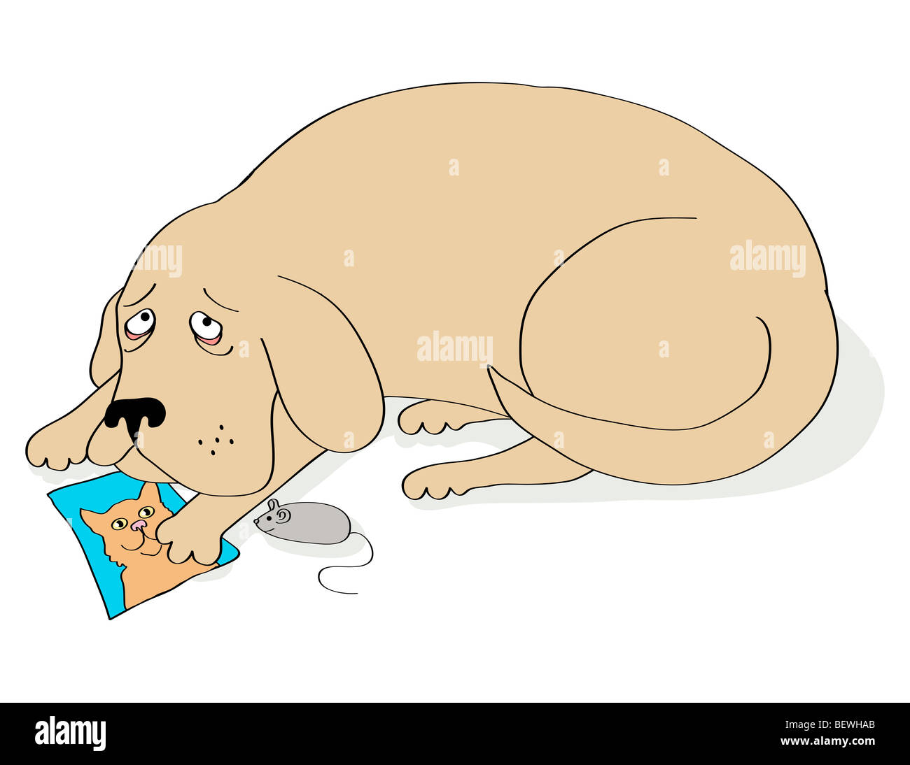 Animal mourning rat hi-res stock photography and images - Alamy