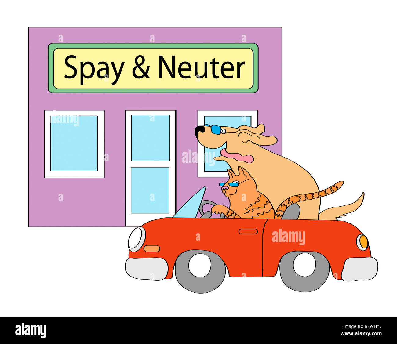 Dog driving cat hi-res stock photography and images - Alamy