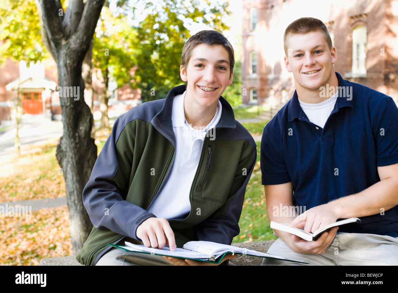Students studying under a tree Stock Photo - Alamy