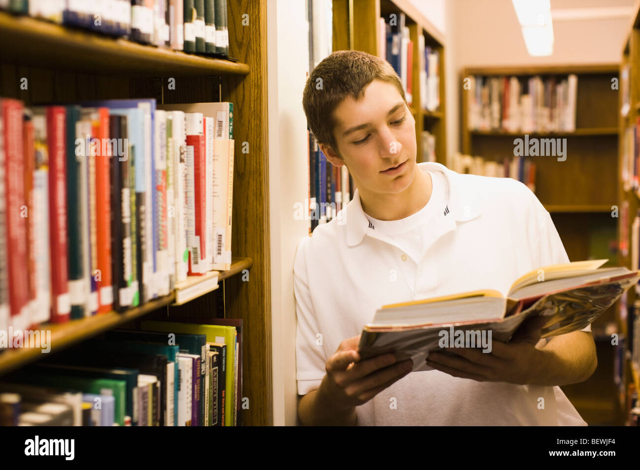 Student reading a book in a library Stock Photo - Alamy