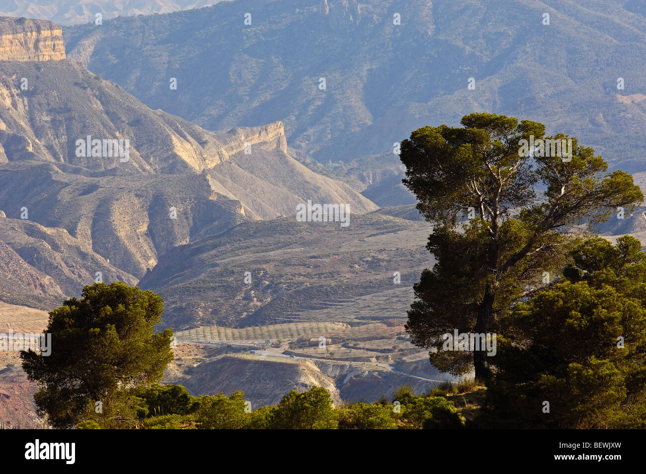 Semi Desert Landscape near Pozo Alcon. Olive Trees. Sierra de Cazorla ...