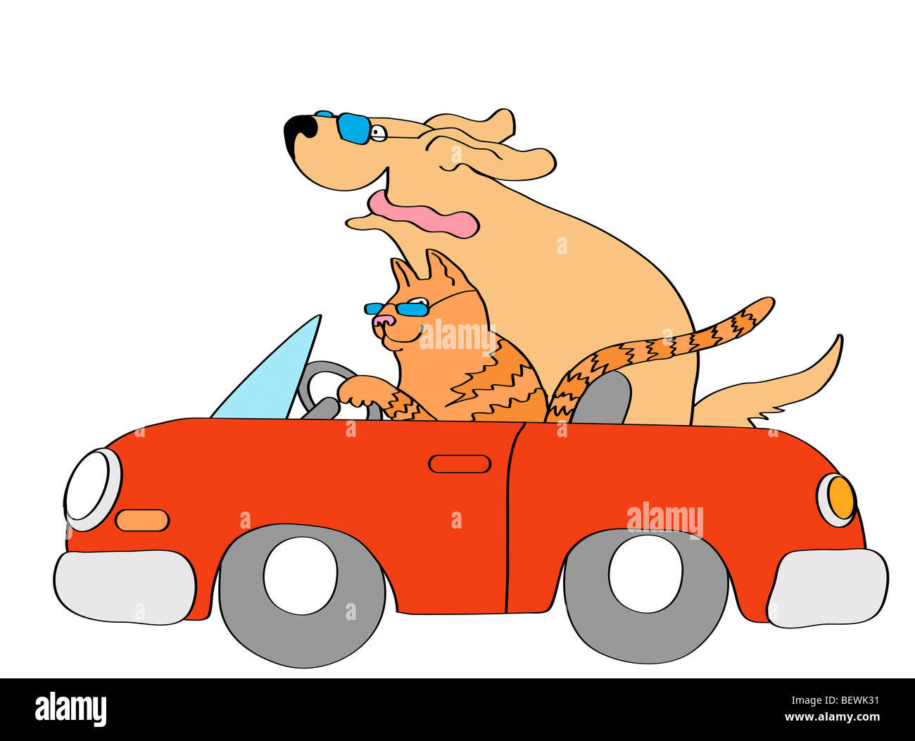 Dog driving cat hi-res stock photography and images - Alamy