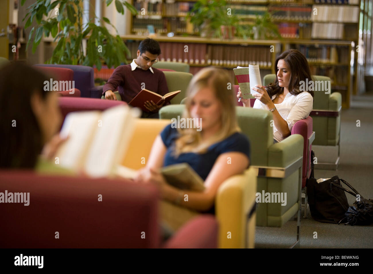 Young adults reading in the library Stock Photo - Alamy