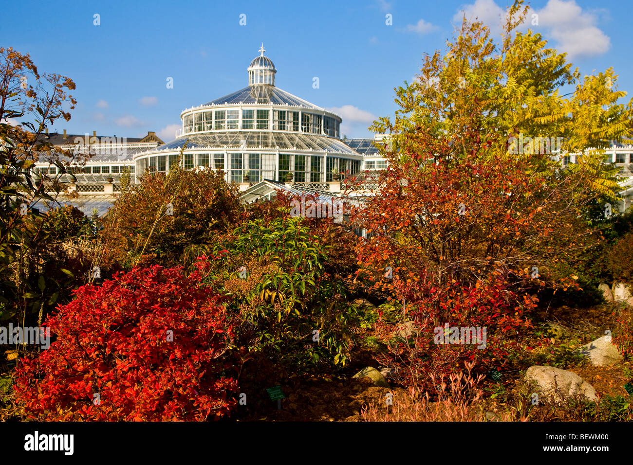 Autumn colours in Botanical Garden in Copenhagen Stock Photo - Alamy