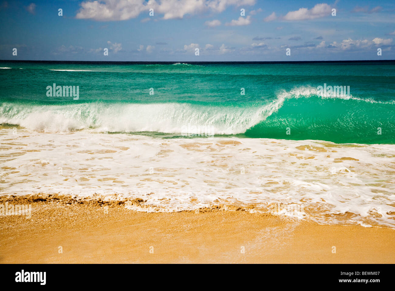 Wave on the beach Stock Photo - Alamy