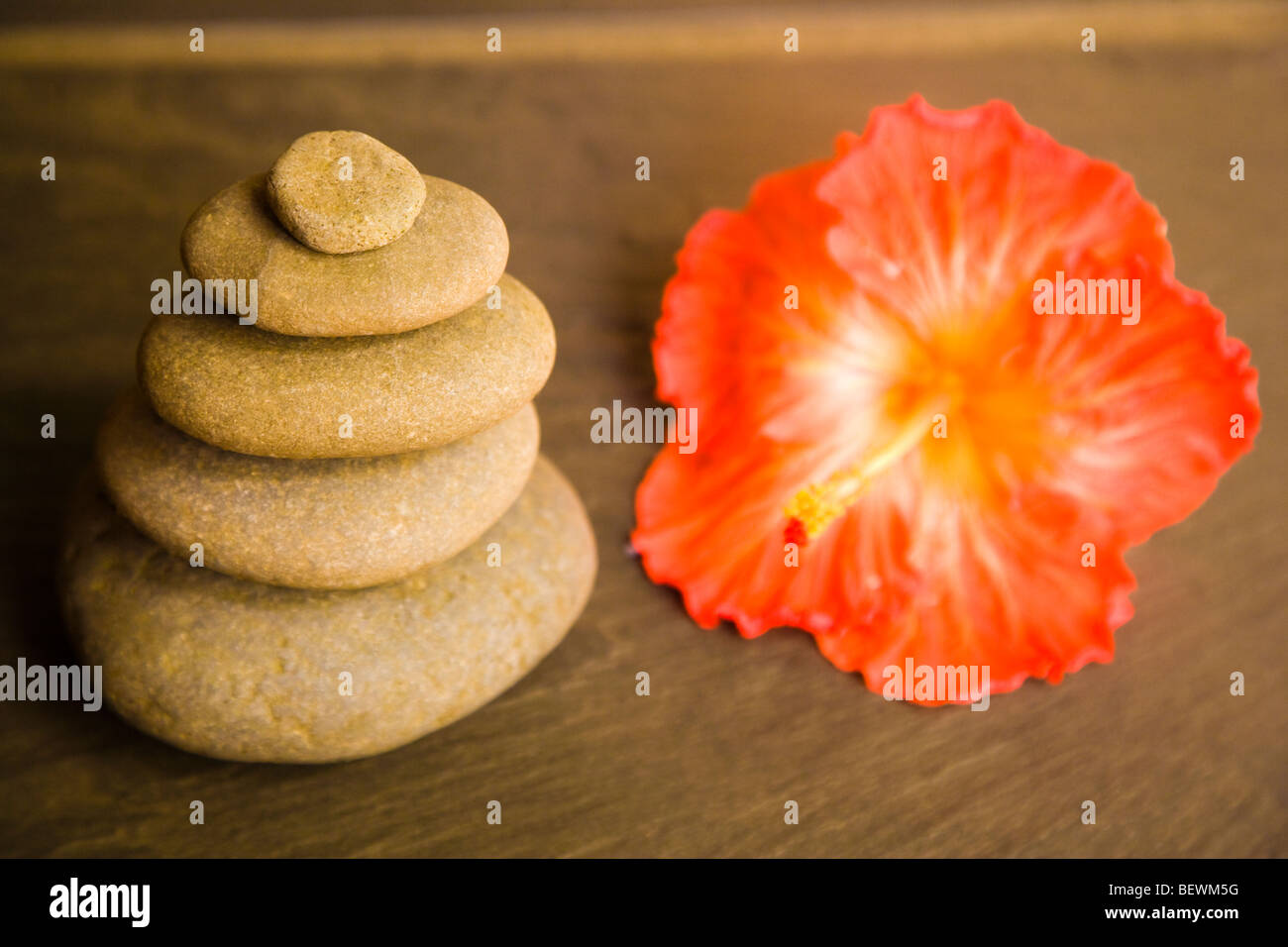 Stack of spa stones with a flower, Papeete, Tahiti, French Polynesia ...