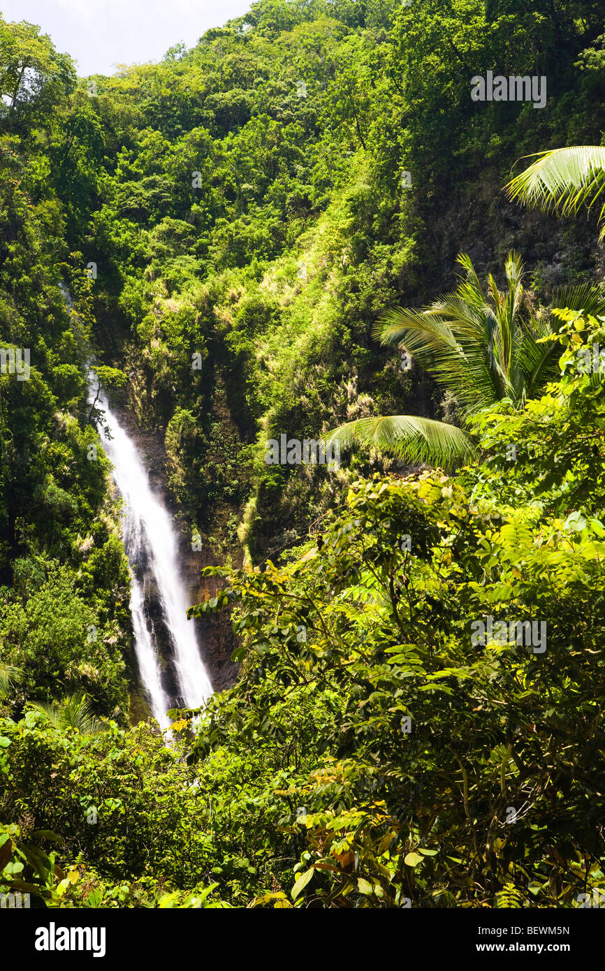 Waterfall in a forest, Papeete, Tahiti, French Polynesia Stock Photo ...