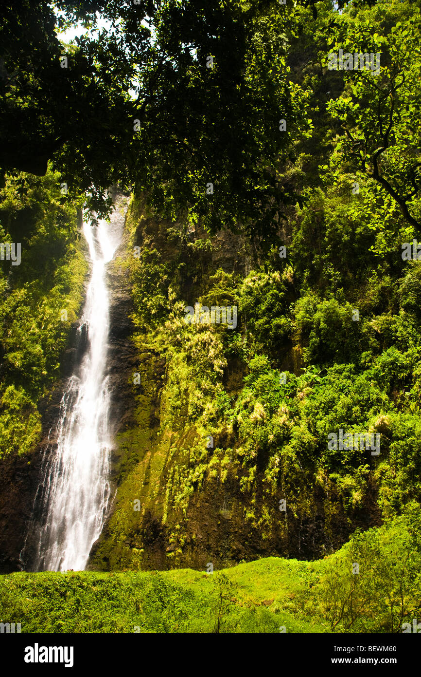 Waterfall in a forest, Papeete, Tahiti, French Polynesia Stock Photo ...