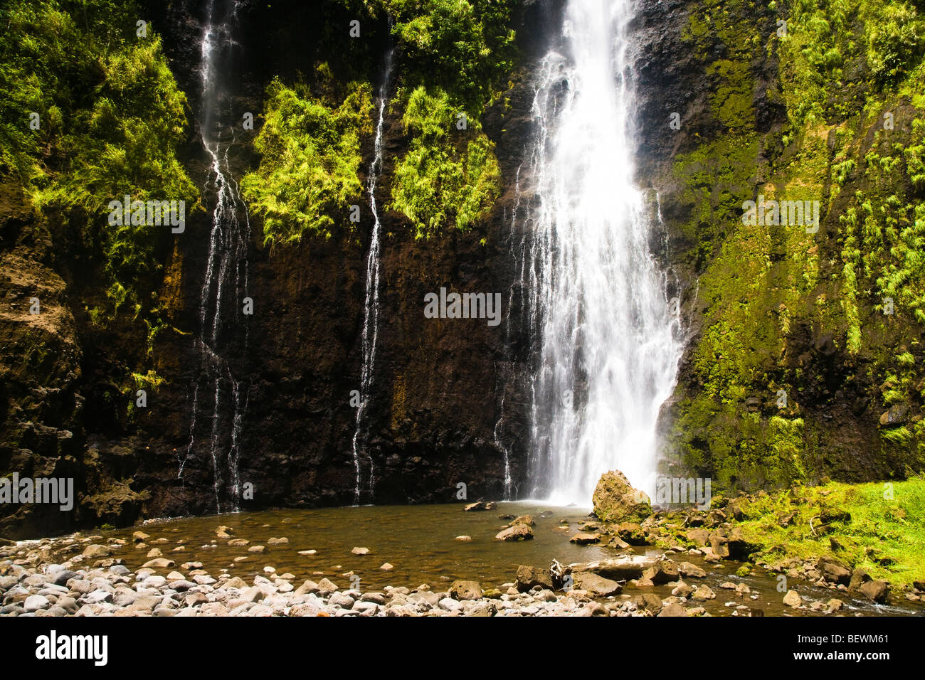 Waterfall in a forest, Papeete, Tahiti, French Polynesia Stock Photo ...