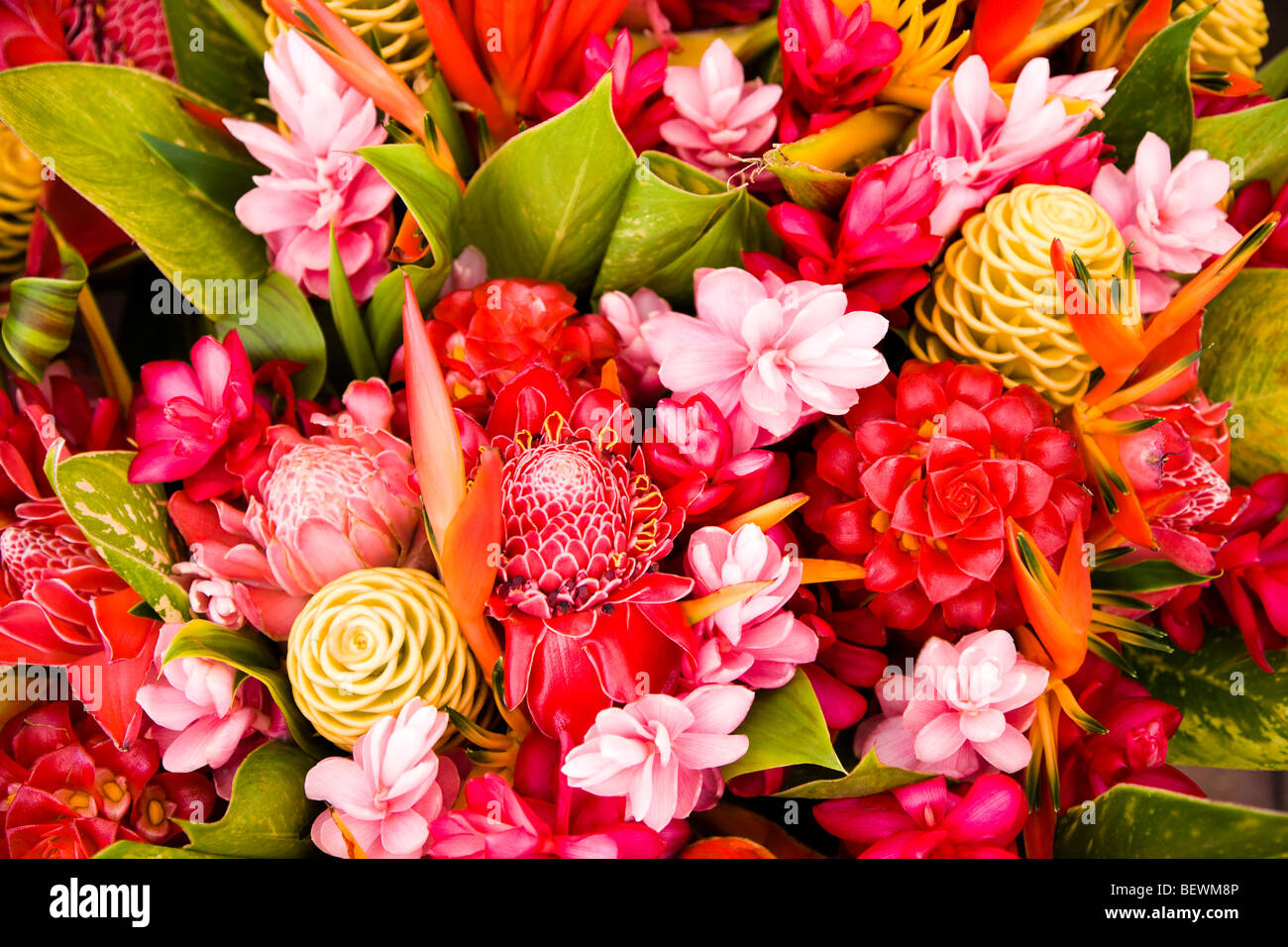 Close-up of assorted flowers, Papeete, Tahiti, French Polynesia Stock ...