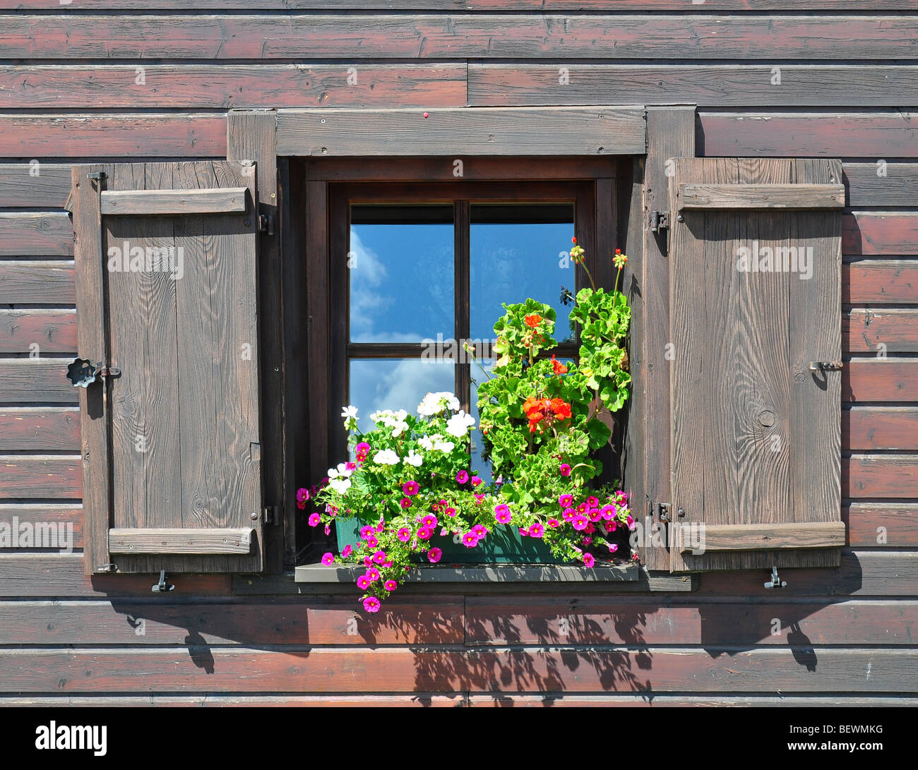 Flowers at window Stock Photo - Alamy