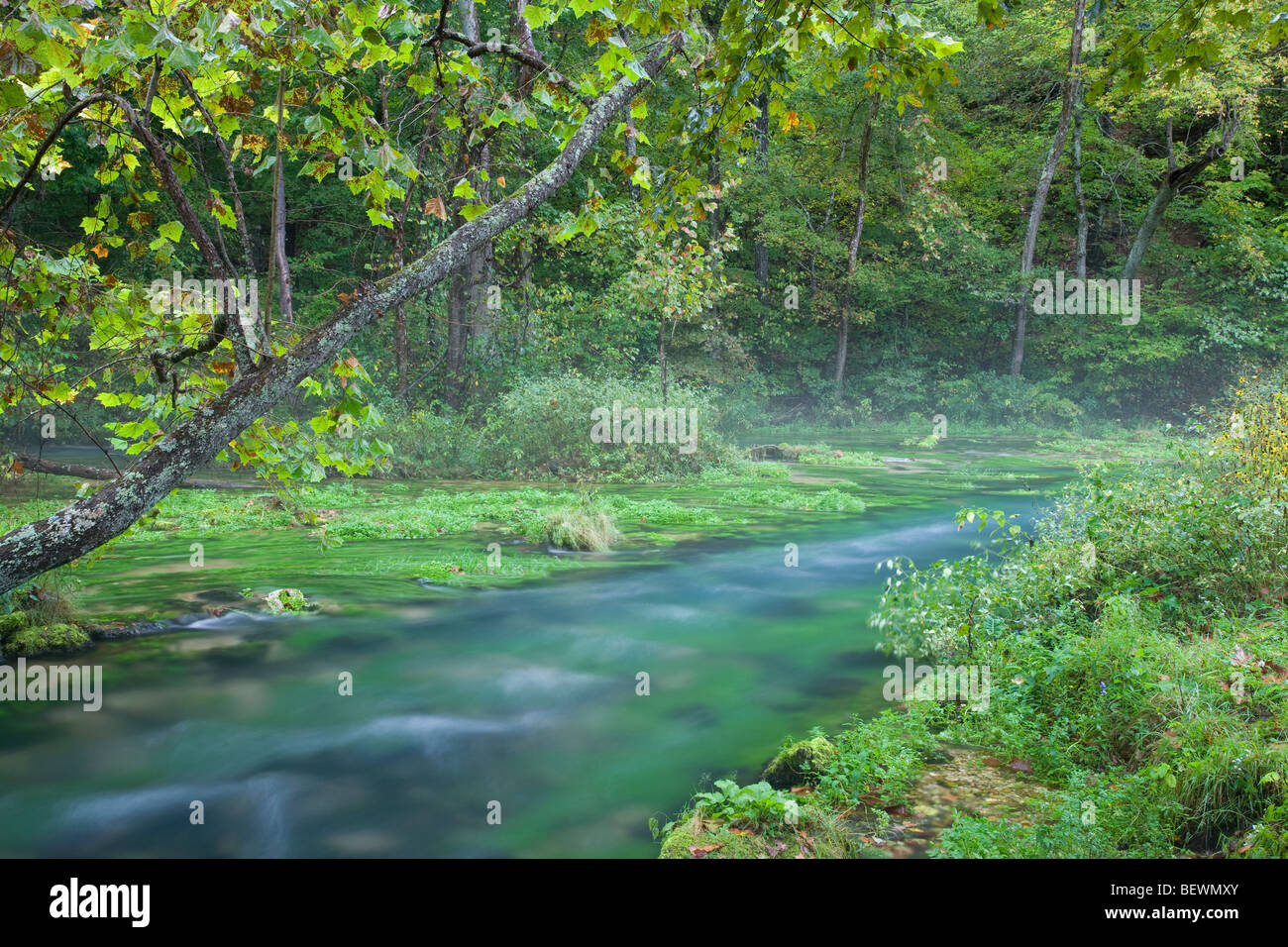 Alley Spring, Ozark National Scenic Riverways, Missouri Stock Photo - Alamy