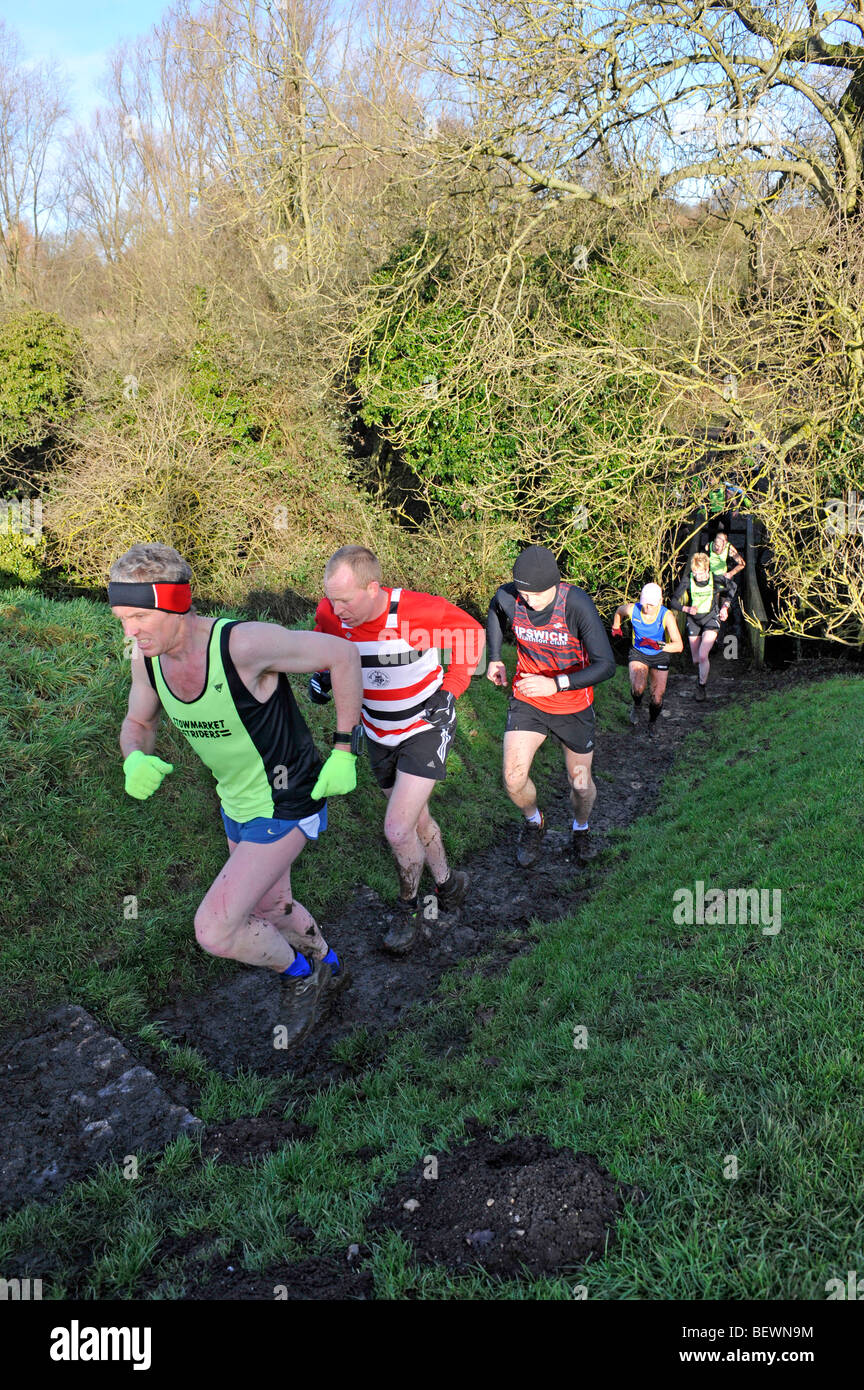 men competing in muddy cross country running race Stock Photo - Alamy