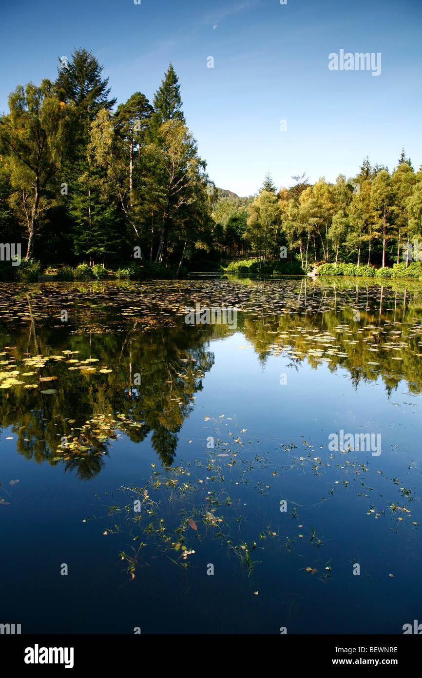 Loch Dunmore,Faskally near Pitlochry,Perth and Kinross,Scotland,UK ...
