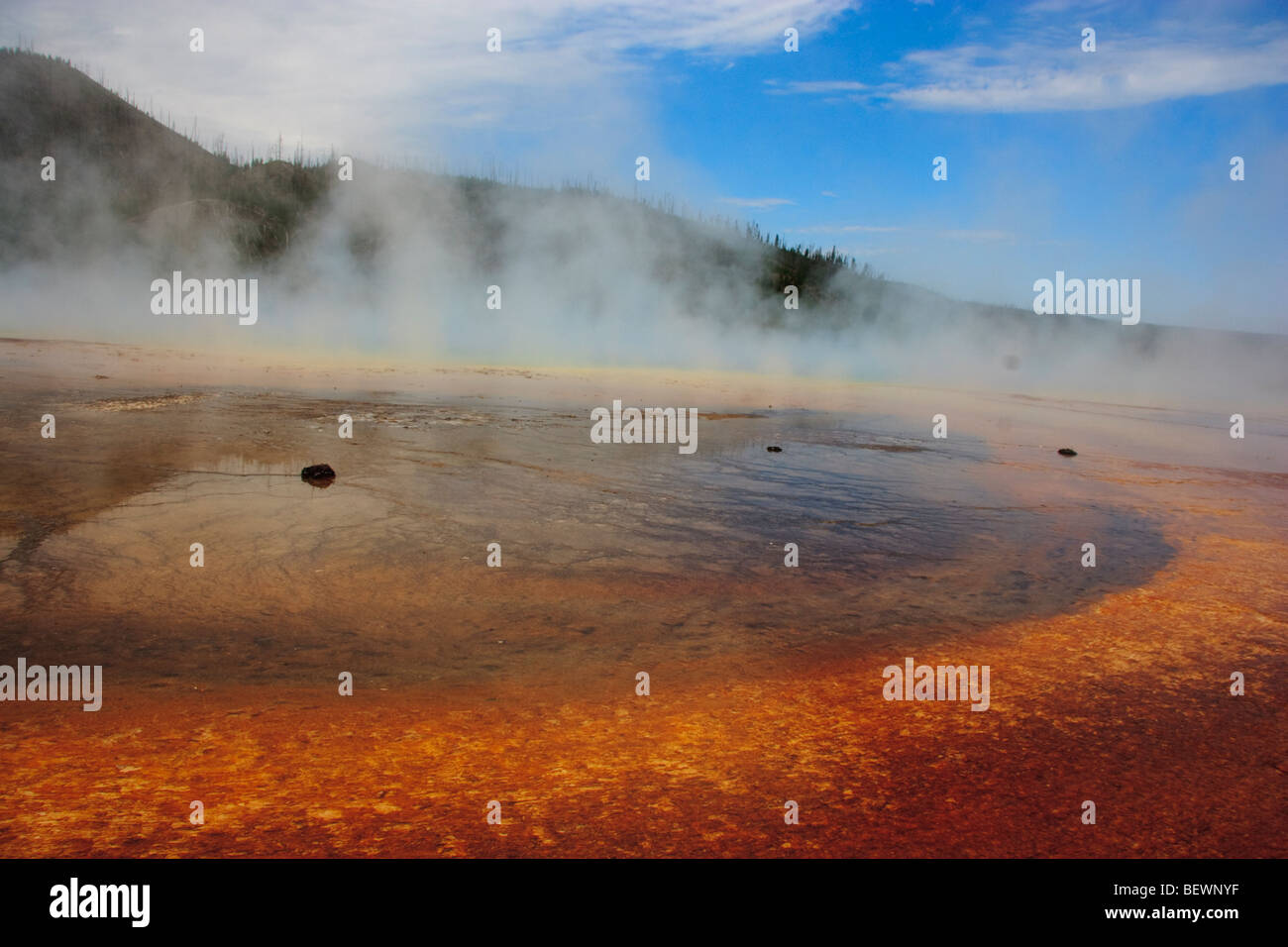 Hot springs at Yellowstone National park. The colors are typical of the ...
