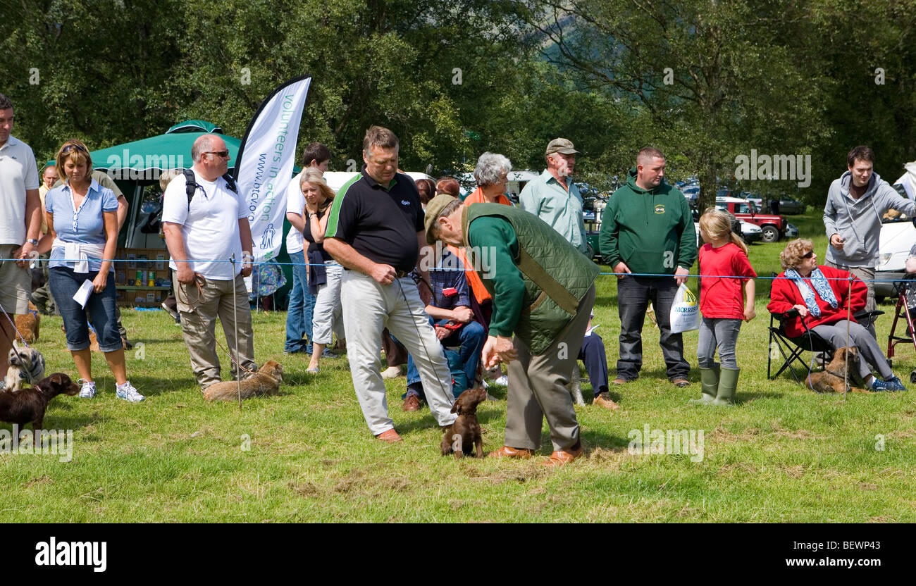 Judging by the crowd hi-res stock photography and images - Alamy