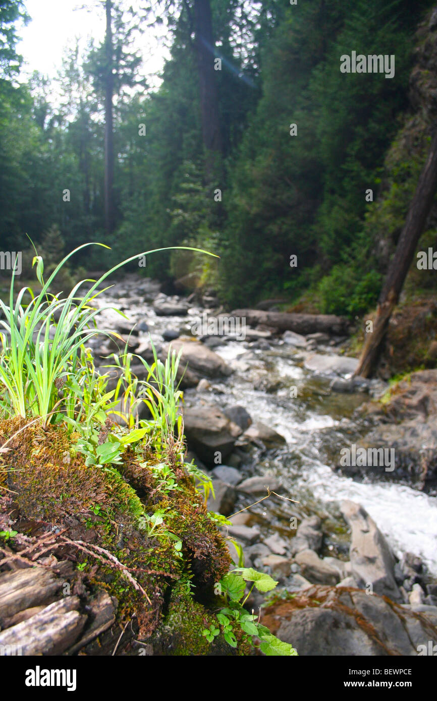 Water rush through rocks hi-res stock photography and images - Alamy