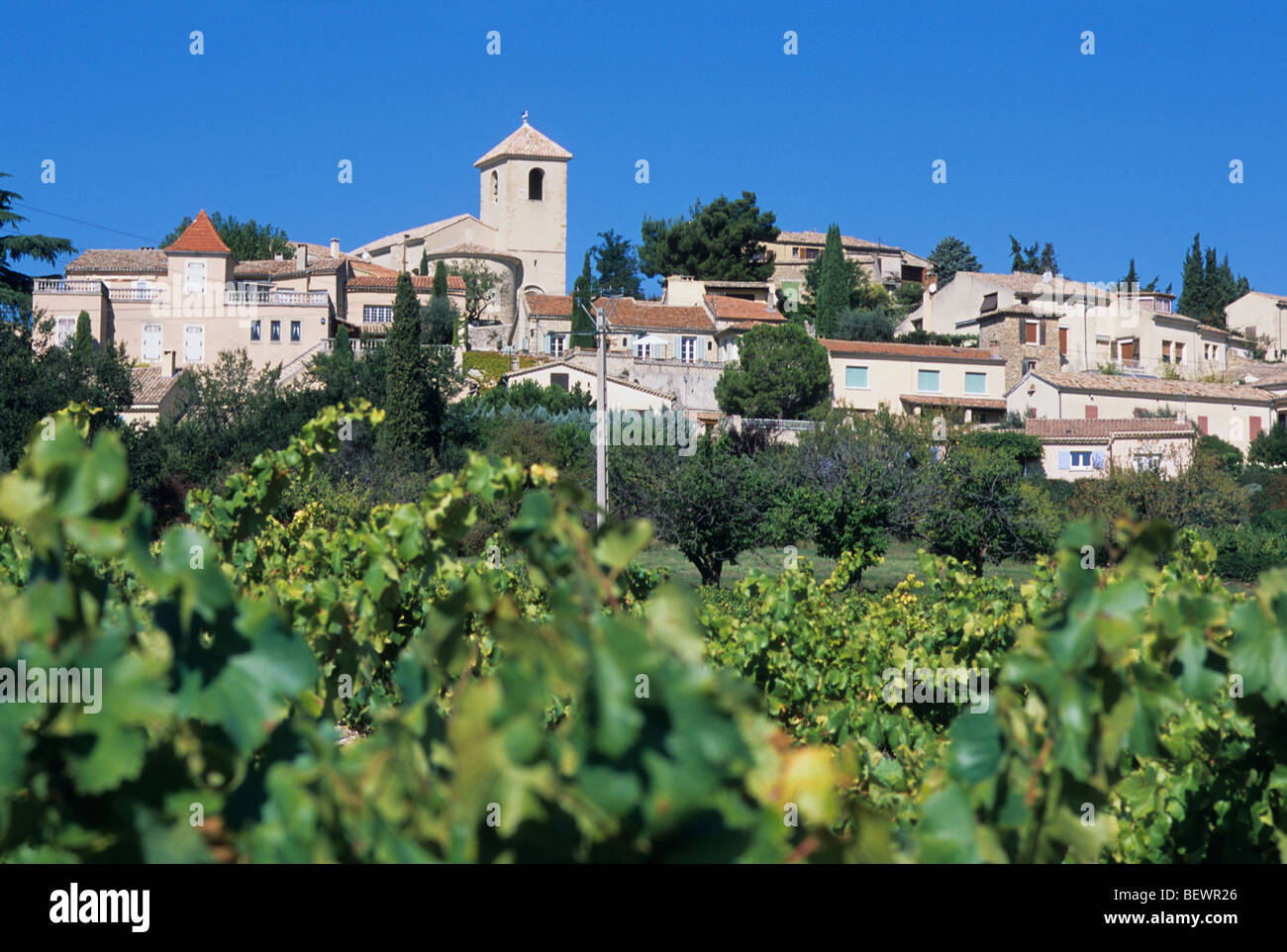 Vineyard, Vinsobres, Cotes du Rhone, Provence, France Stock Photo - Alamy