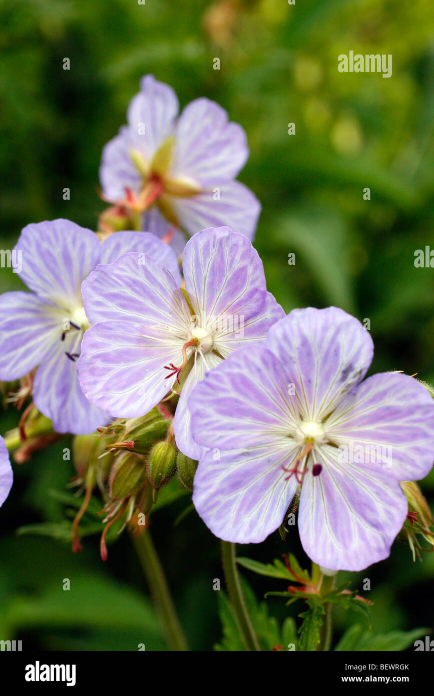 Kendall Clark High Resolution Stock Photography and Images - Alamy