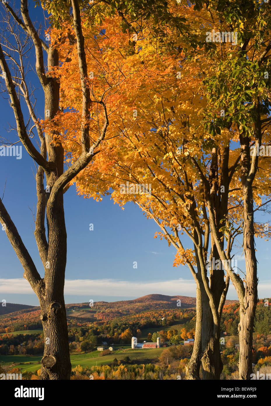 rural scene in Autumn in the Pownal Valley of Southern Vermont Stock ...