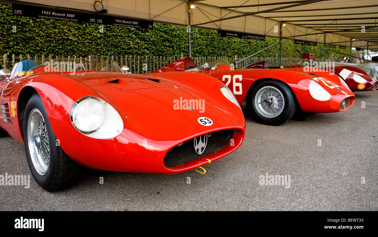 Two 1955 Maserati 300S sportscars in the paddock at Goodwood Revival ...