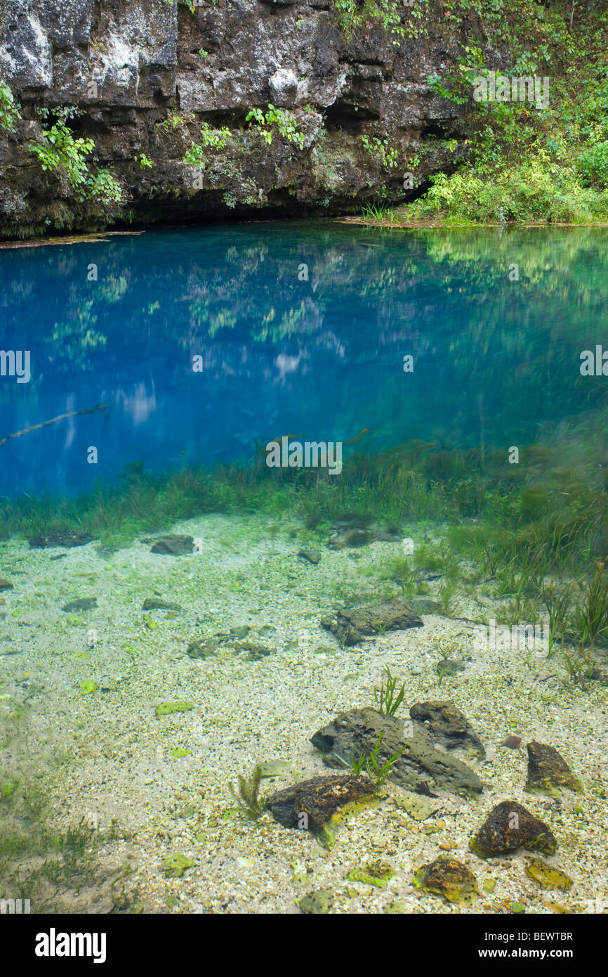 Blue Spring (on the Current River), Blue Spring Natural Area, Ozark ...