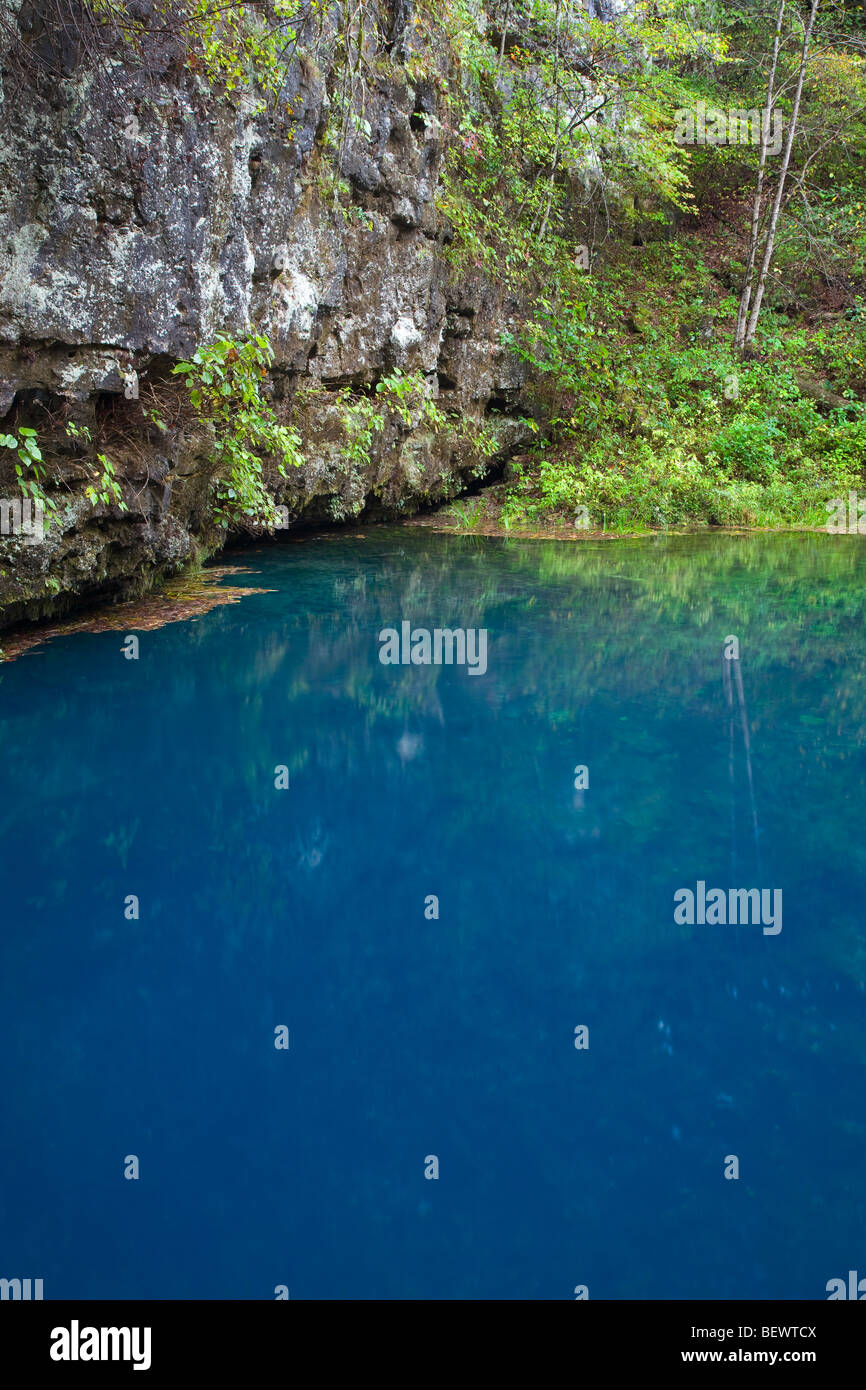Blue Spring (on the Current River), Blue Spring Natural Area, Ozark ...