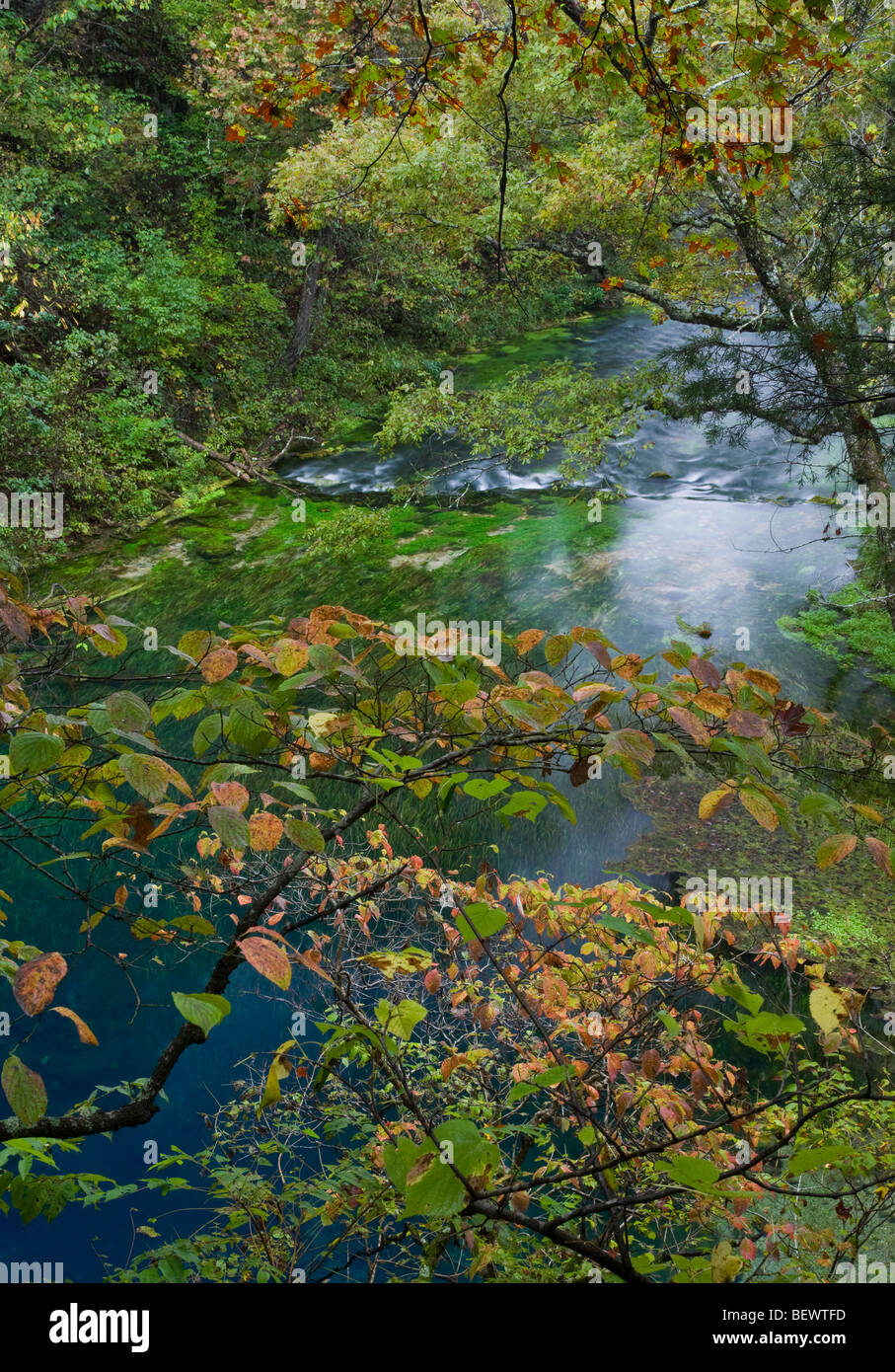Blue Spring (on the Current River), Blue Spring Natural Area, Ozark ...