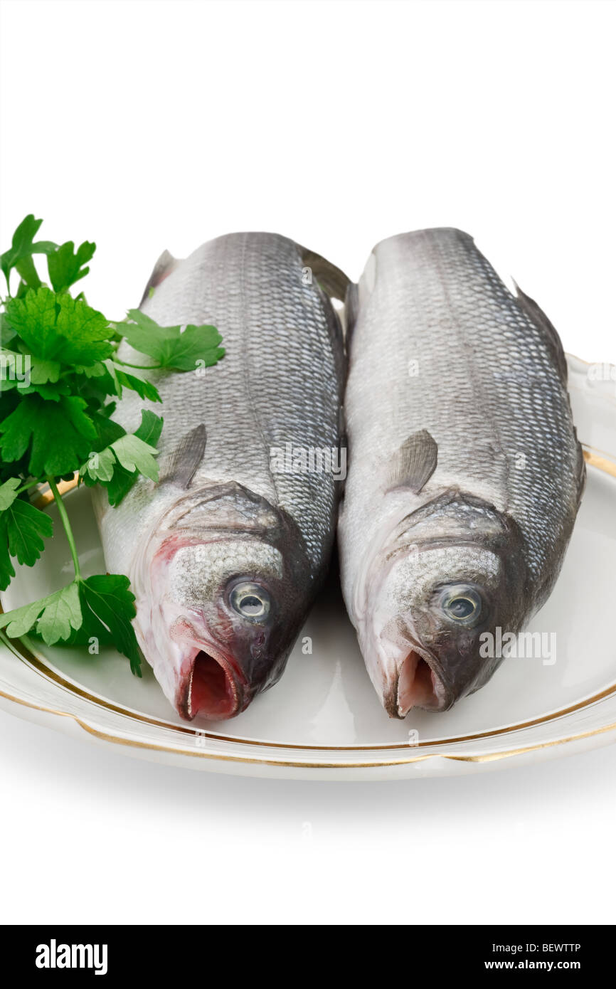 Seebaß hi-res stock photography and images - Alamy