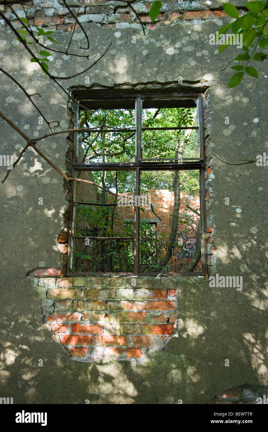 A derelict window on a ruined pumping house in Northamptonshire woods ...