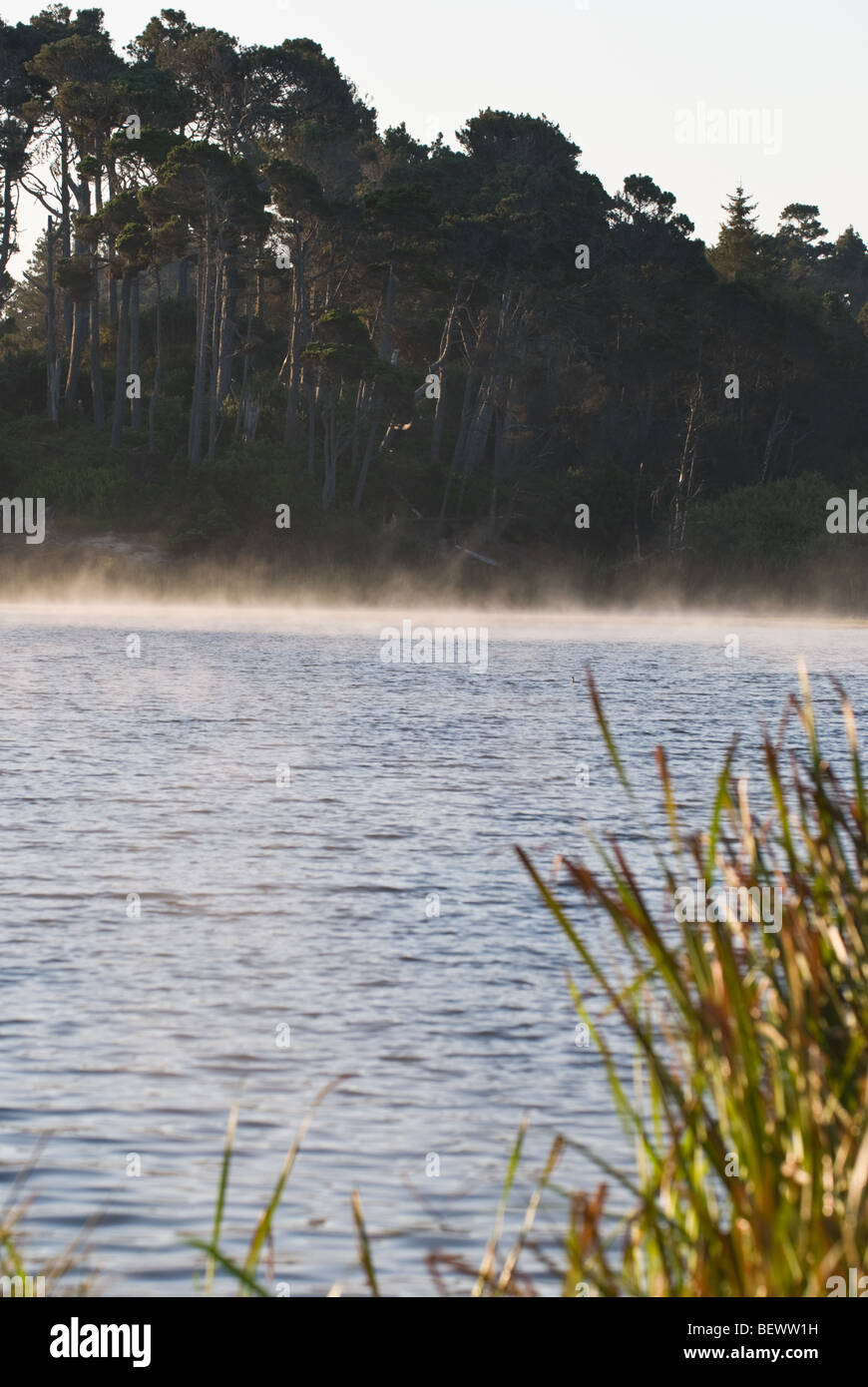 Cleone hi-res stock photography and images - Alamy