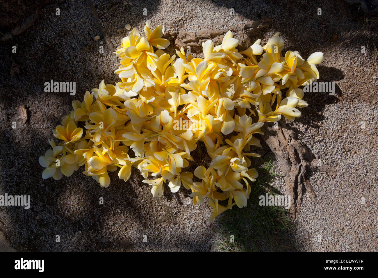 Welcome to bali hi-res stock photography and images - Alamy