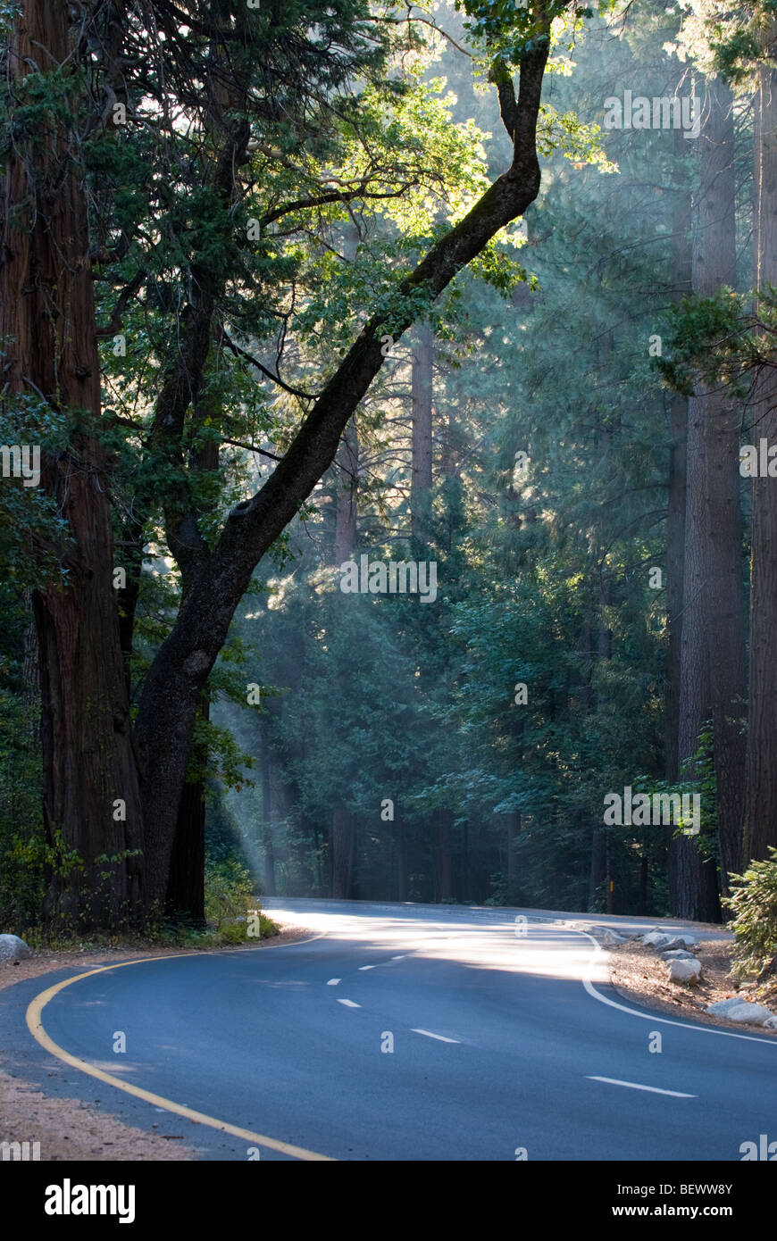 Driving through yosemite park hi-res stock photography and images - Alamy