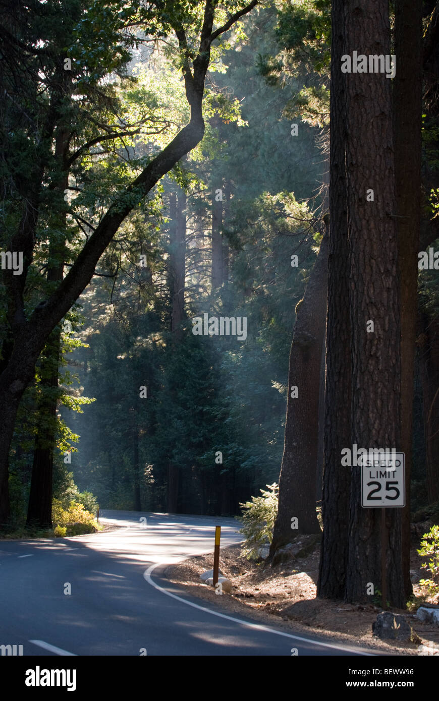 The drive through the valley of Yosemite National Park, California ...