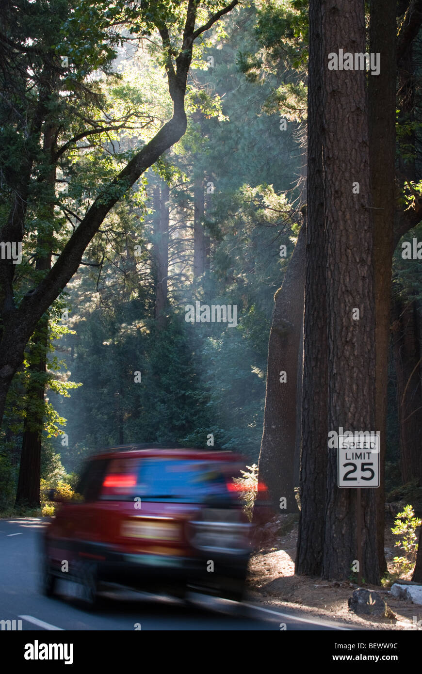 The drive through the valley of Yosemite National Park, California ...