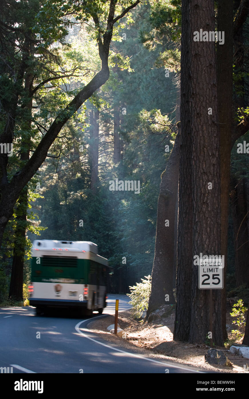 The drive through the valley of Yosemite National Park, California ...