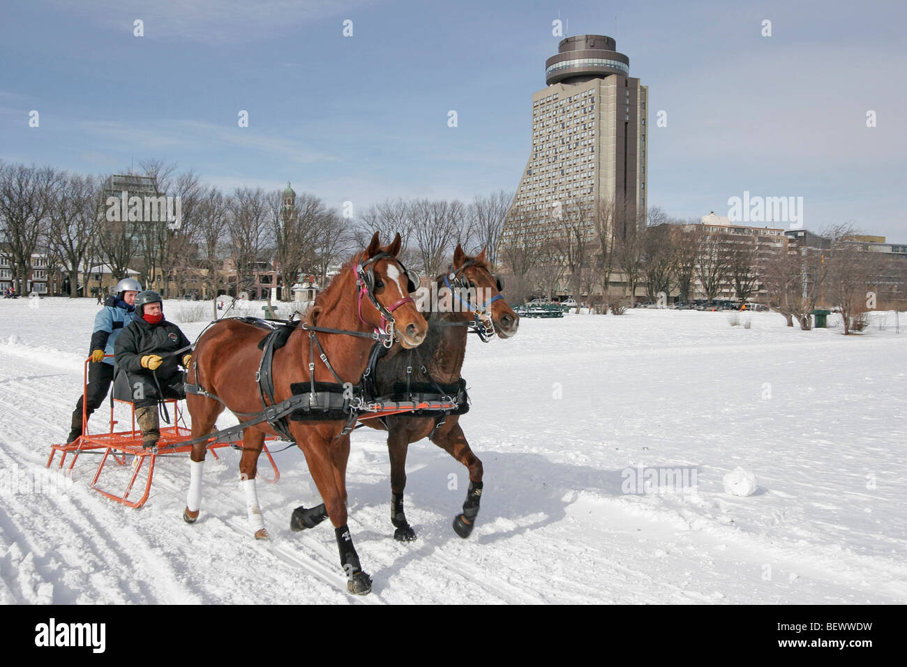 Sleigh ride at snow play area with Concord Hotel and its revolving ...
