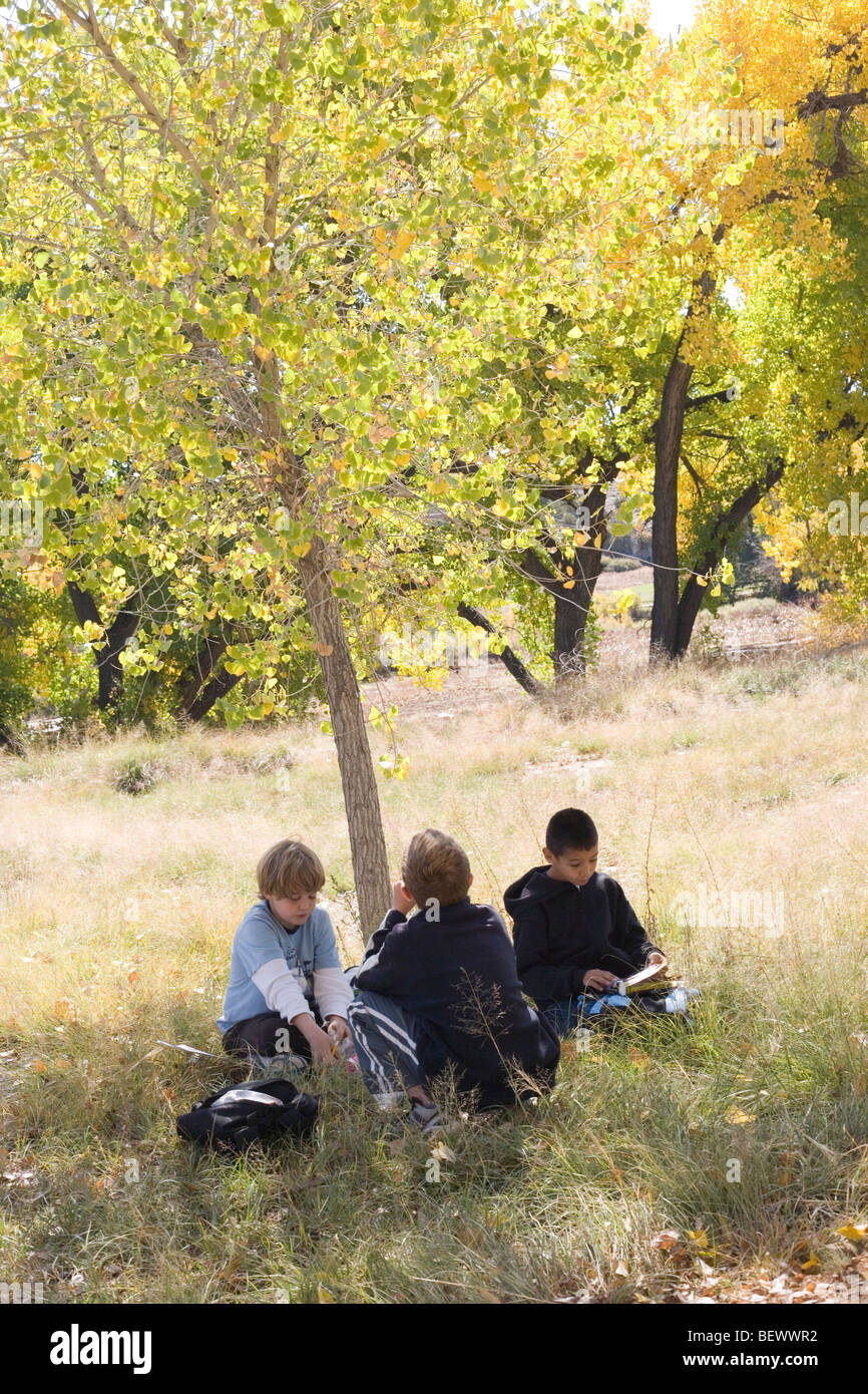 three nine year old boys sit under a tree to rest during a school field ...