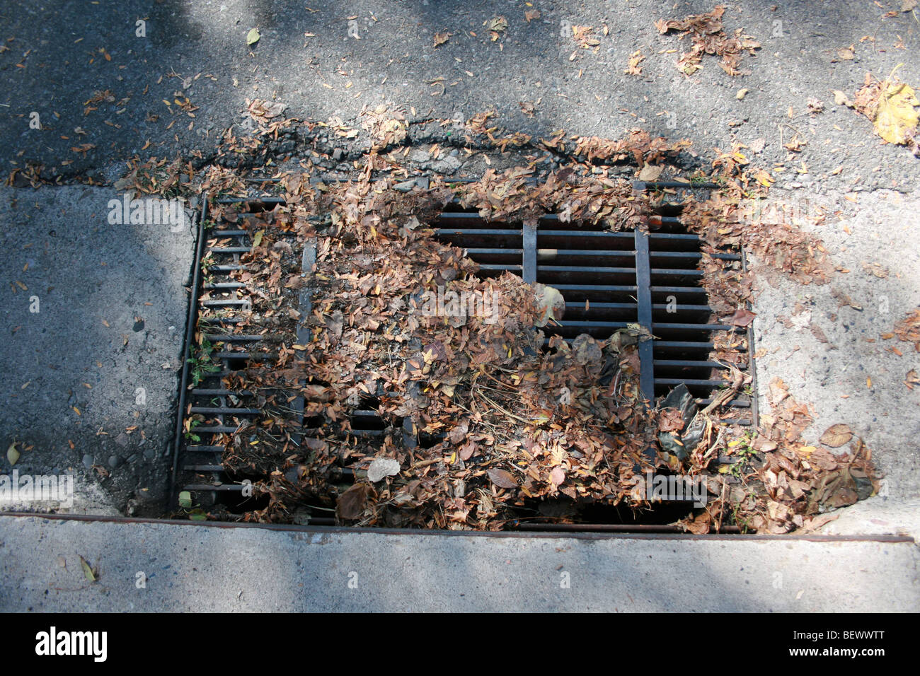 leaves clogging gutter in the street Stock Photo - Alamy