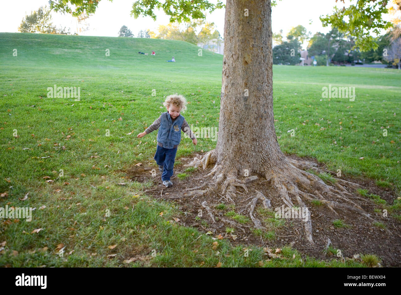 Nature of earth hi-res stock photography and images - Alamy