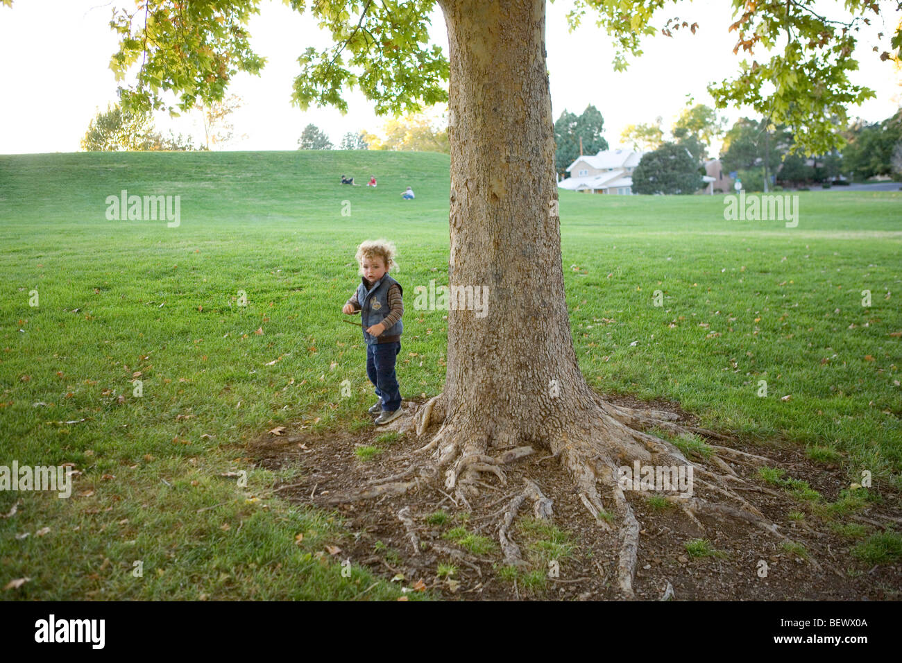 Three year old boy walking hi-res stock photography and images - Alamy