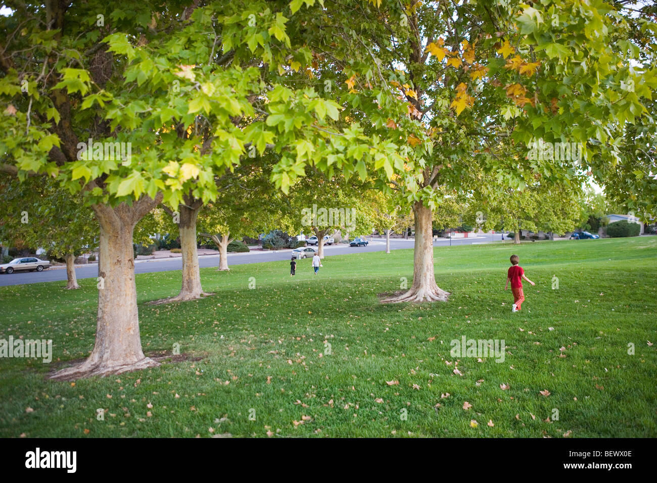 Albuquerque autumn fall hi-res stock photography and images - Alamy